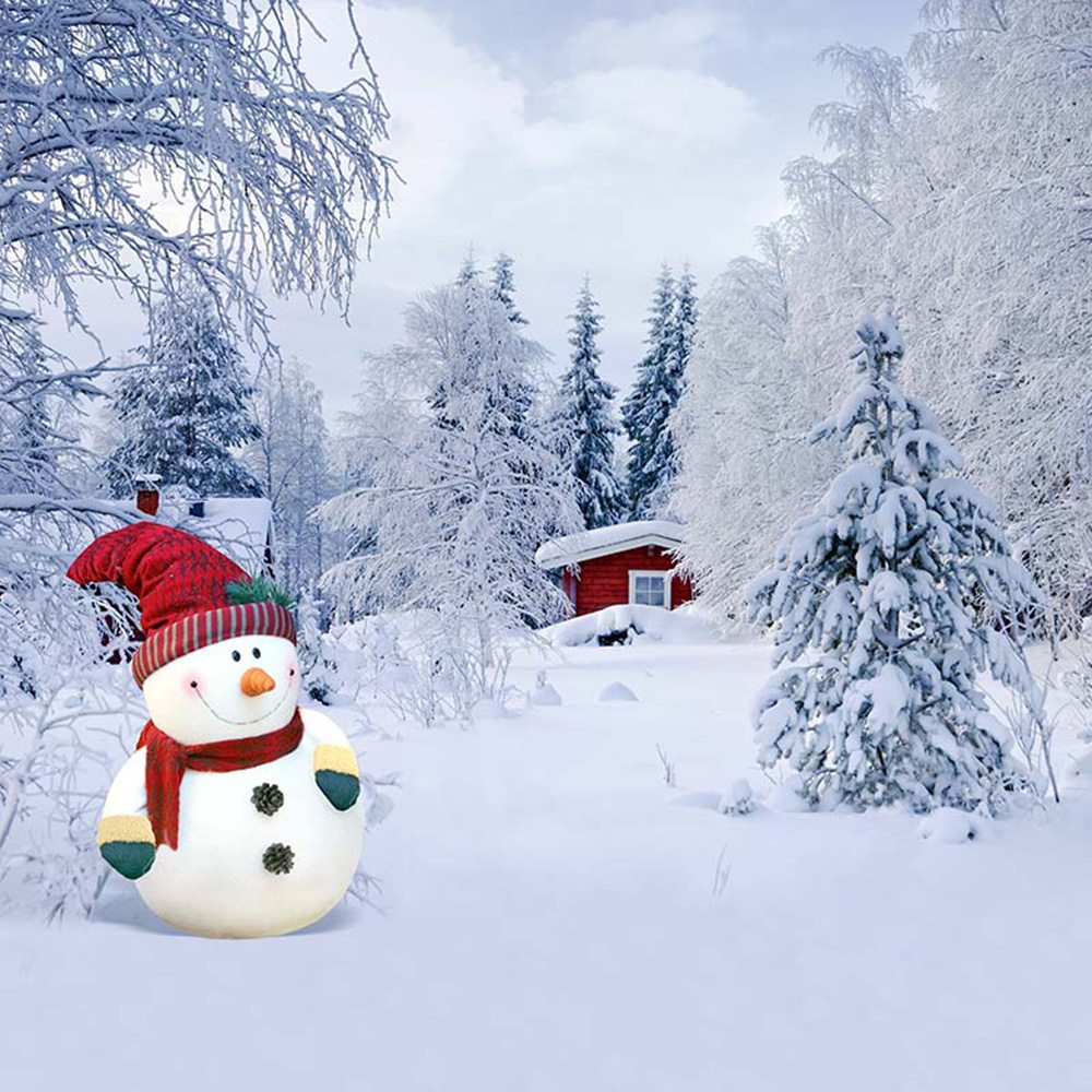 Addison Real Estate Market Conditions - December 2017