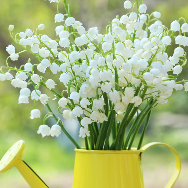 Addison Real Estate Market Conditions - April 2021